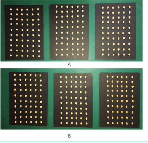 Figure 1 From Recognition Of Maize Seed Varieties Based On Hyperspectral Imaging Technology And
