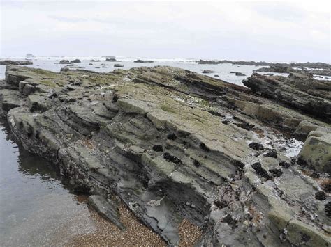 Sandstone Dominated Alternating Hcs Fine Sandstone And Bioturbated Download Scientific Diagram