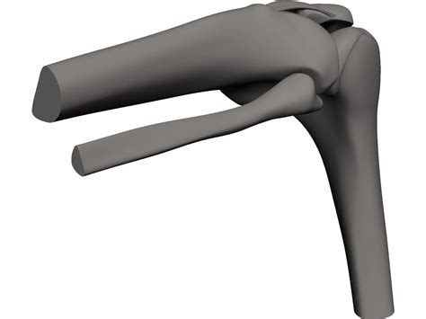 Knee Joint Human Cad Model 3dcadbrowser