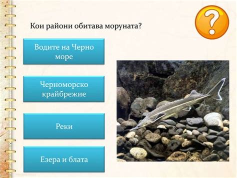 животински свят Pptx