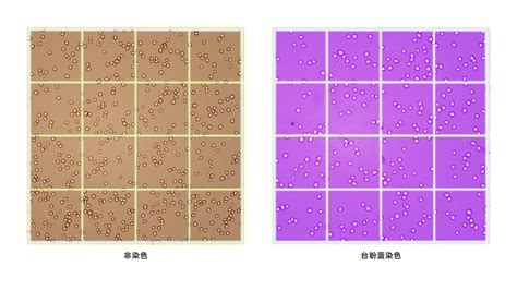 源于经典，细胞计数的新篇章 博大博聚科技