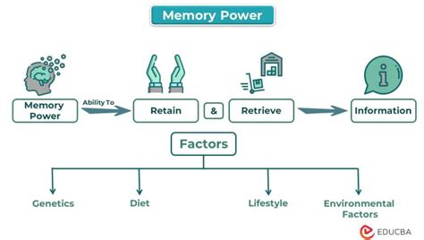 Tremendous Ways To Boost Your Memory Power EDUCBA