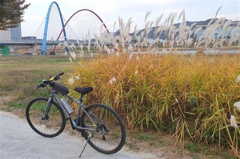 자전거 바람 주입기 빠르고 편한 무선전동 에어펌프 픽스 Xap 301 네이버 블로그