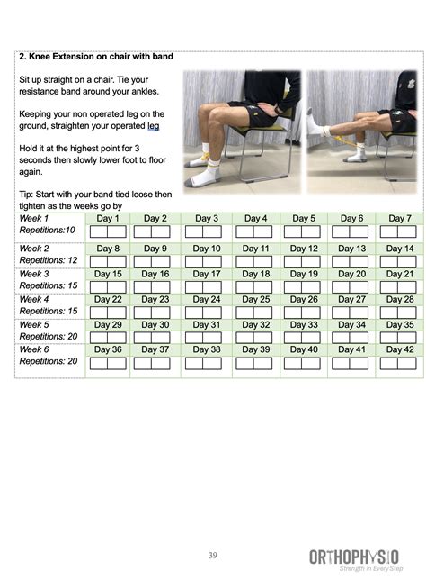 Hip Replacement Guide — Orthophysio