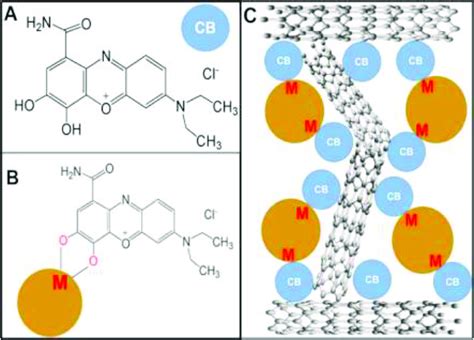A Chemical Structure Of Cationic Cb Containing A Chelating Catechol