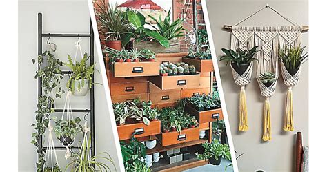 Оригинални места за стайните растения Български Фермер