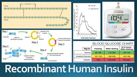 Production Of Recombinant Insulin Optical Priority