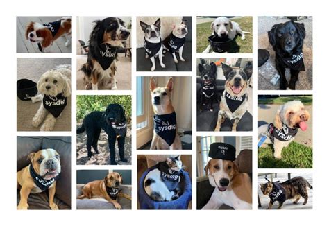 Sysdig Swag Isnt Limited To Mammals Of The Bipedal Variety In Fact