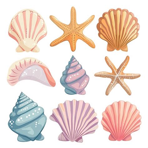 Premium Vector Seashell Vector Set Simple And Minimal Premium Vector Seashell Vector Set Simple And Minimal