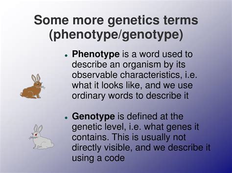 Ppt Simple Genetics Example Powerpoint Presentation Free Download