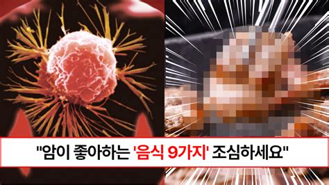 암 환자는 절대 먹지 마세요” 실제 암 환자가 알려주는 암을 촉진시키는 음식 9가지 뉴스위크