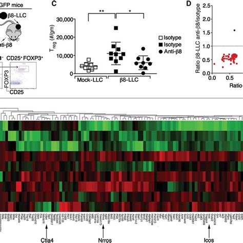 Yifan Cheng Associate Professor Phd Ucsf University Of California San Francisco Ca