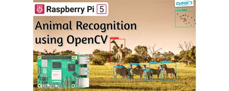 Animal Recognition Using Opencv On Raspberry Pi 5