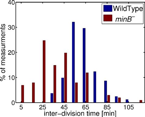 Figure 1 From Effect Of The Min System On Timing Of Cell Division In