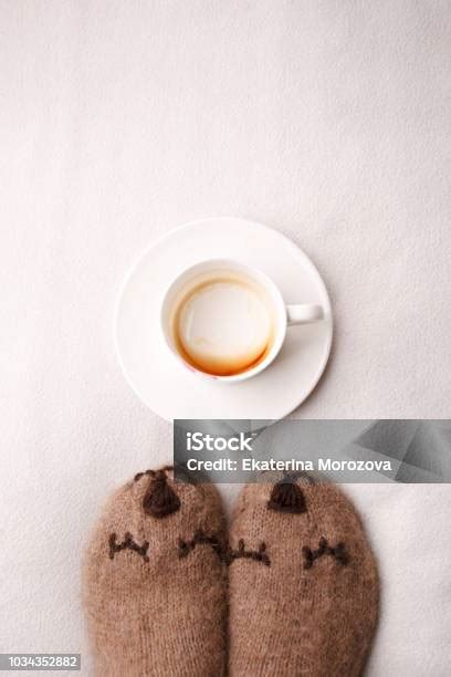 따뜻하고 부드러운 담요 빈 잔의 에스프레소 커피 모직 양말 겨울이 을 아늑한 아직도 인생 게으른 졸린 주말 아침 개념입니다 상위 뷰 포인트입니다 공간 복사 가을에 대한 스톡