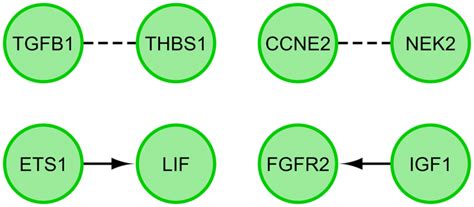 Functional Interaction Fi Between 20 Chosen Genes That Belongs To Download High Quality