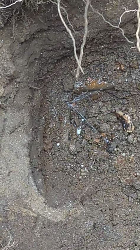 Subsurface Leak Detection