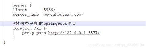 Nginx配置api接口 Csdn博客