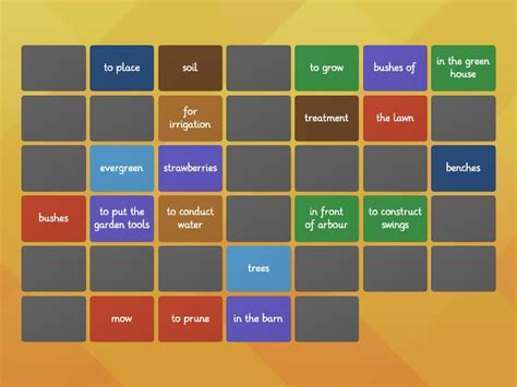 Lexical Exercise Matching Pairs