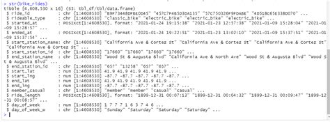 GitHub AsmaaSamirKhattab Data Analytics Case Study How Does A Bike Share Navigate Speedy