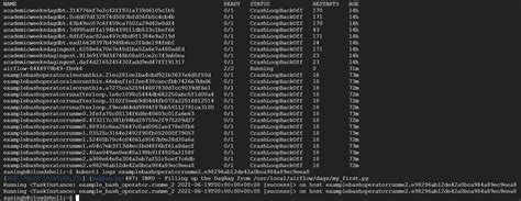 Kubernetes Pod Are Failing With Crashloopbackoff Even If Exit Code Is 0 In Airflow 20 Stack