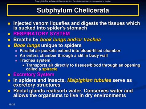 Ppt Classification Phylum Arthropoda Chapter 19 Subphylum Trilobita