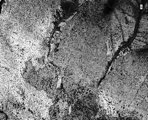 Creating A Canopy Height Model Using Lidar Wesley Barr
