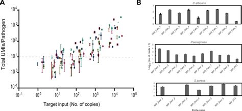 Analytical Sensitivity Of The Method A Serial Dilutions 110 Of
