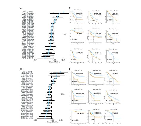 Correlation Of Cd161 Expression With Os In 33 Types Of Cancer A Download Scientific Diagram