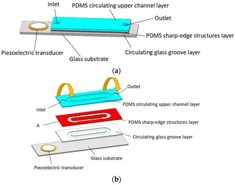 A Bi Directional Acoustic Micropump Driven By Oscillating Sharp Edge Structures