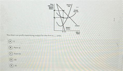 Solved The Short Run Profit Maximizing Output For T 0point