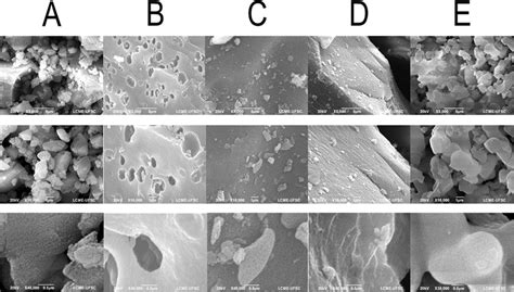 Micrographs Obtained By Sem With Different Magnifications For A Download Scientific Diagram