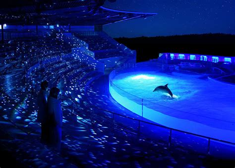 京都水族館夜のすいぞくかんペンギンやオットセイの寝顔を間近で イルカスタジアムもライトアップ ファッションプレス