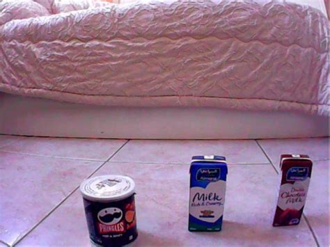 Test Robot Object Detection Dataset And Pre Trained Model By Capestone