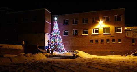 Новогодние елки Томска 2010 - Статьи - Томск - tomsk.ru09.ru