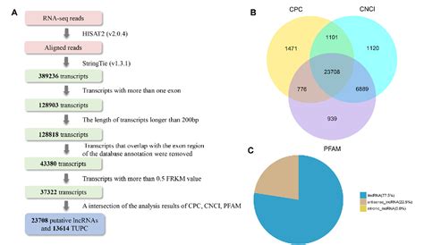 Figure 2 From Analysis Of Long Non Coding Rna And Mrna Expression