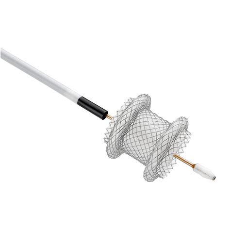 Inside The Us Ercp Device Market A Closer Look At Key Players