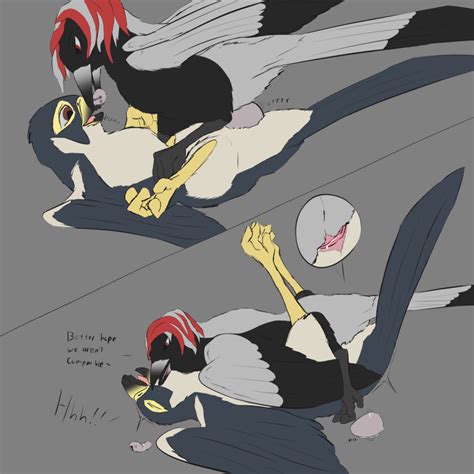 Rule 34 Artamid Australian Magpie Avian Bird Bodily Fluids Cloaca