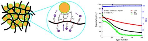Chemical Structure Of Polysaccharide And Lib Electrochemical