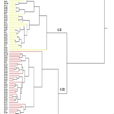 Dendrogram Showing Clustering Of 75 Inbred Lines Into Three Groups