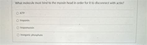 Solved What Molecule Must Bind To The Myosin Head In Order
