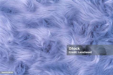 블루 퍼 텍스처 상위 뷰입니다 파란색 또는 라일락 양가죽 배경입니다 모피 패턴 파란색 털 복숭아 모피의 질감입니다 양모 질감 양 모피 인조 모피에 대한 스톡 사진 및 기타