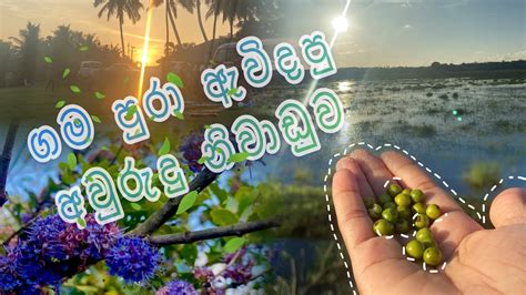 ගම පුරා ඇවිදපු අවුරුදු නිවාඩුව ♥️😍අවුරුදු දැනෙන්නෙ ගමේ Youtube