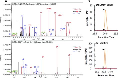 Example Ms Ms Spectra Of Peptide Identification A And Example Download Scientific Diagram