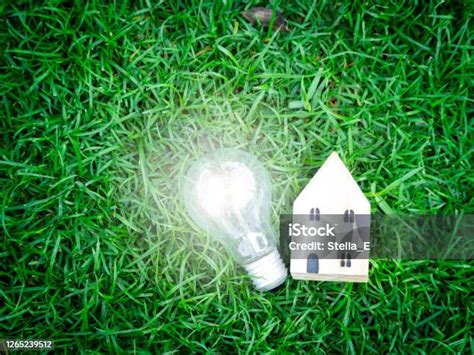 목조 집과 녹색 잔디에 전구 에너지 절약 세계를 저장하기 위해 재생 녹색 에너지를 사용하여 사랑하고 지구를 보호 환경 친화적 인