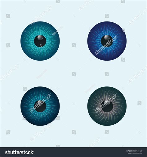 Set Human Iris Illustration Digital Vector Stock Vector Royalty Free 1527510425 Shutterstock