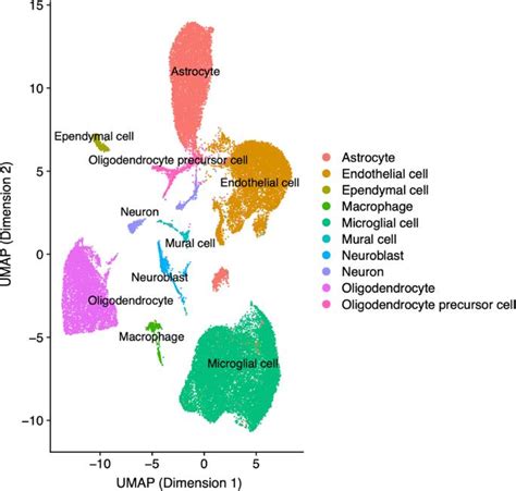 Enrico Glaab On Linkedin Single Cell Transcriptome Analysis Of The Thy