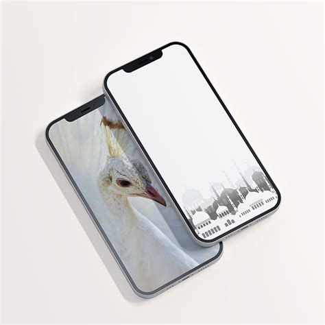 Белые обои на телефон 100 белых картинок 2К 4К