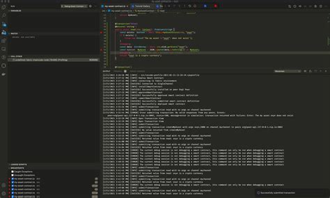 Hyperledger Fabric How To Debug Chaincode With Ibm Blockchain Platform Stack Overflow