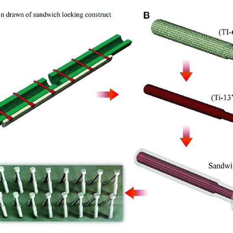 Structure Schematic Diagram Of The Optimized Finite Element Model Of
